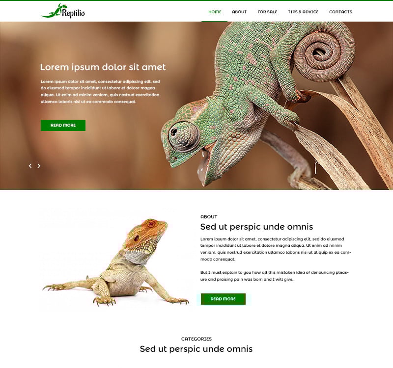 Reptilio - Reptile PSD Template #82012 - TemplateMonster