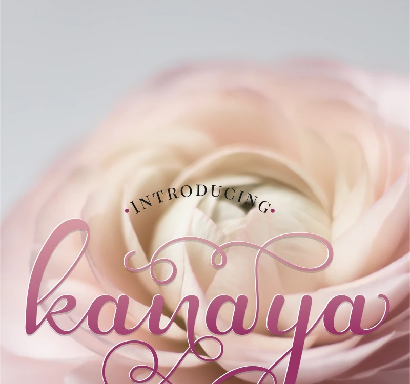 Kanaya - Romantic Font #83964 - TemplateMonster