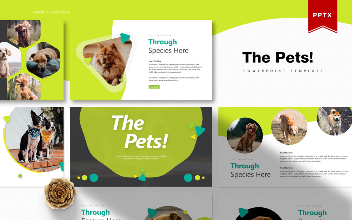 The Pets | PowerPoint Template #84910 - TemplateMonster