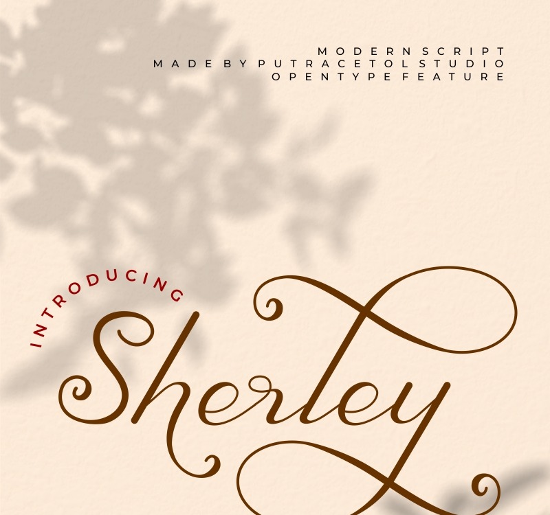 Sherley Font #85000 - TemplateMonster