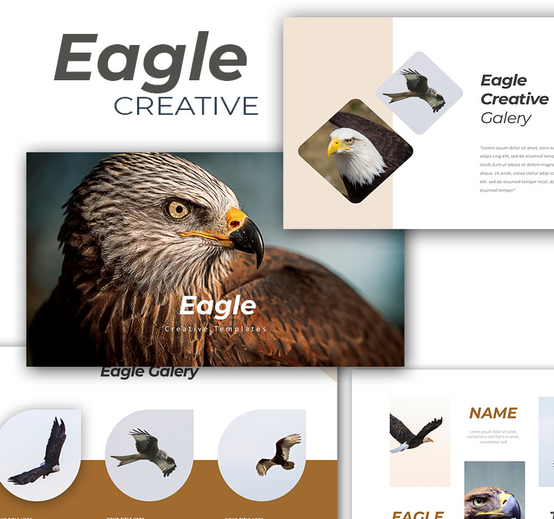 Eagle Creative PowerPoint Template #87224 - TemplateMonster
