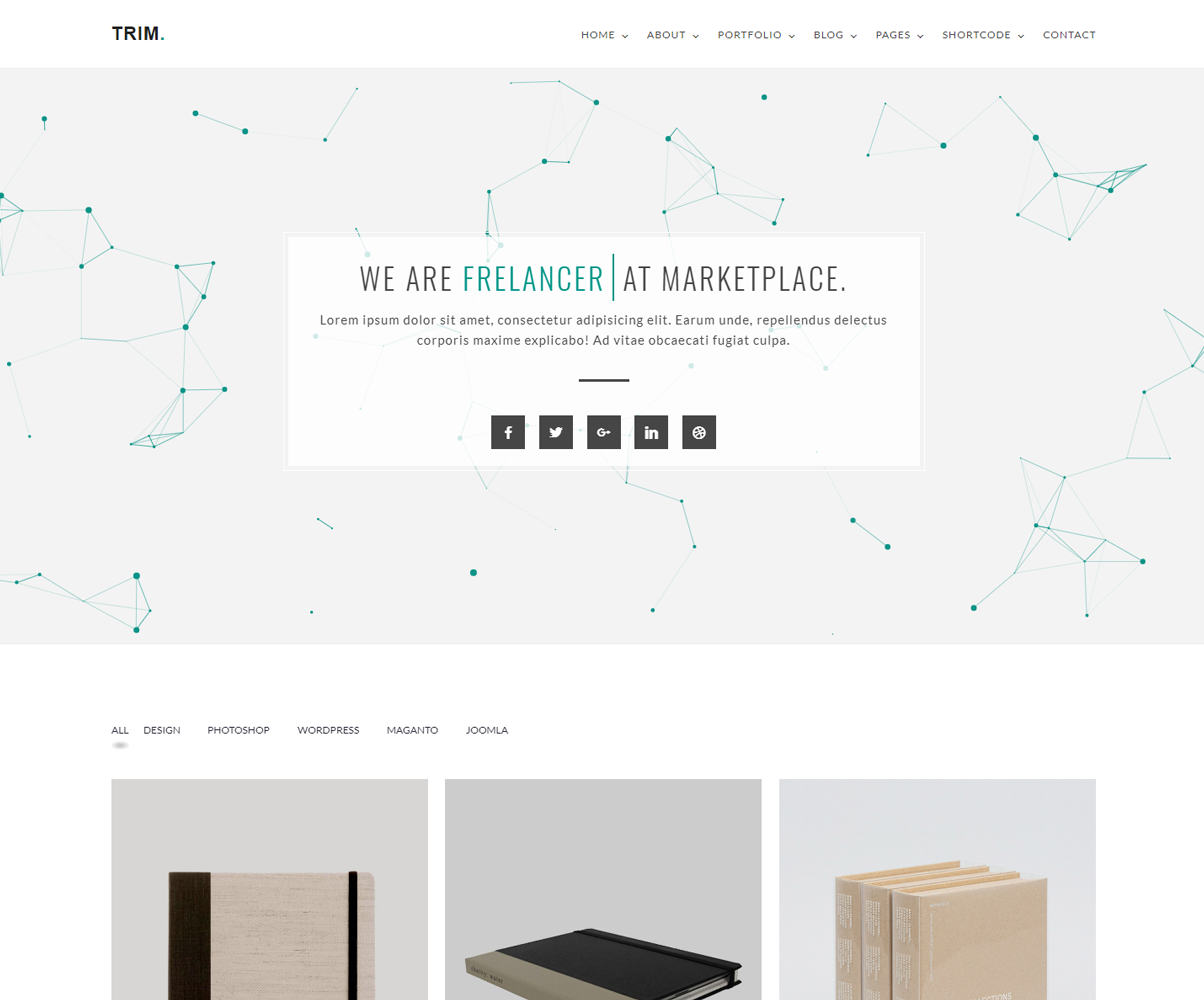 Trim minimal portfolio template