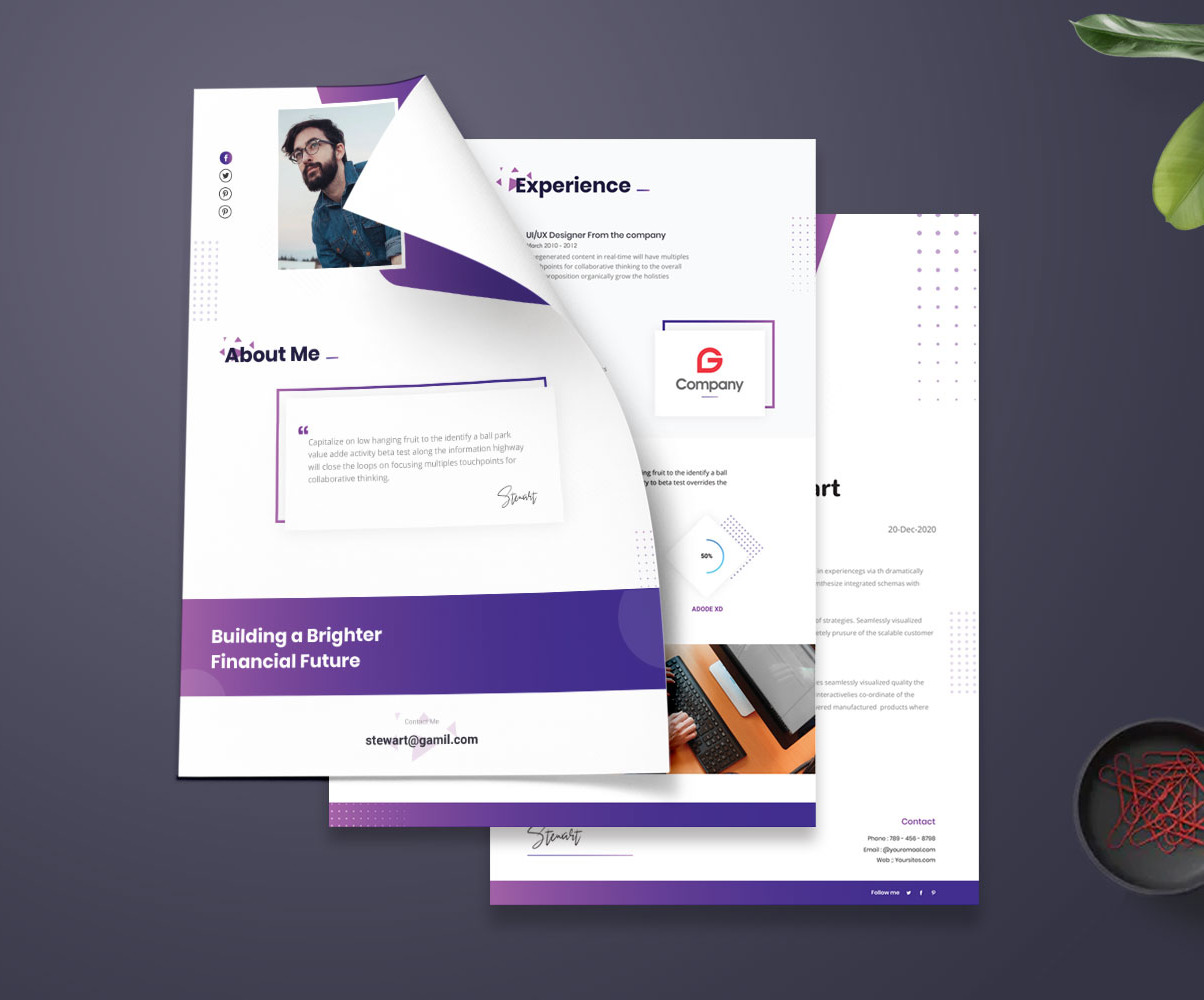 Šablona pro životopis Professional CV Resume Template #147057