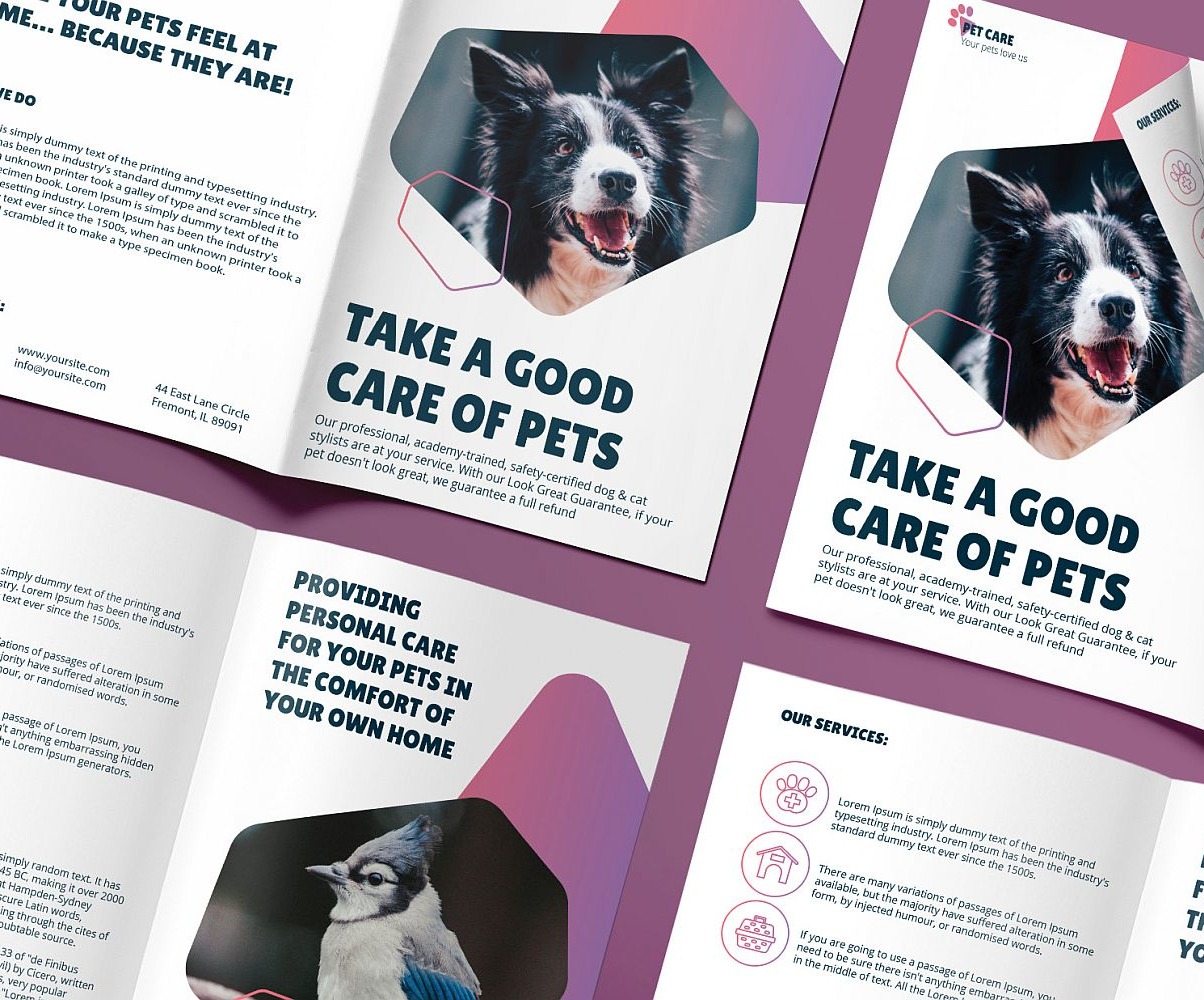 Pet Grooming Care Brochure Bifold Corporate Identity Template #149747