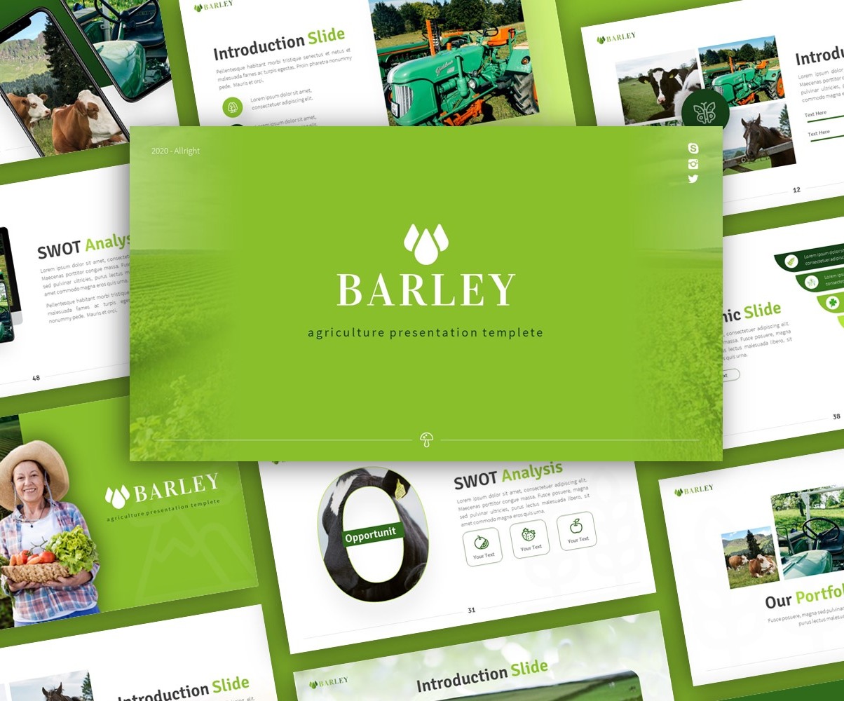 Barley Agriculture Presentation PowerPoint Template #159134
