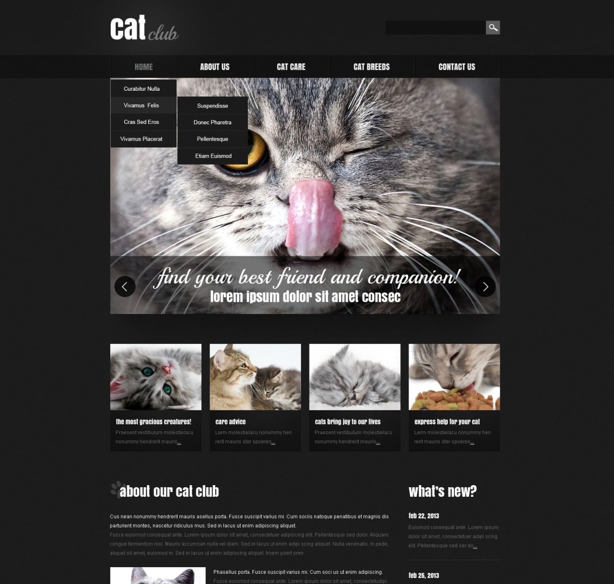 Cat Responsive Website Template #44278