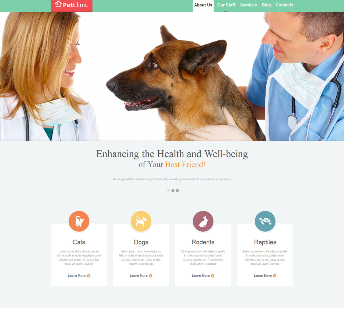 Vet Responsive Website Template #49334