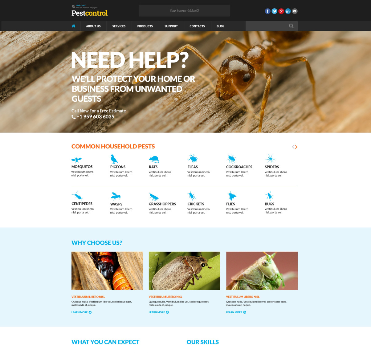 Pest Control Responsive Website Template #50731