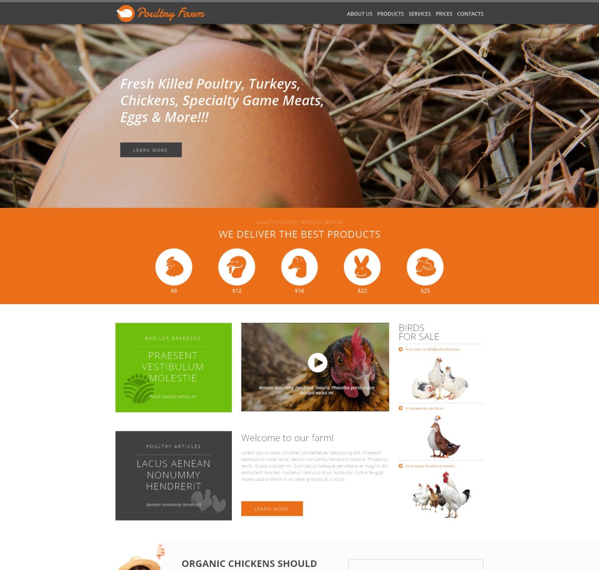 Poultry Farm Responsive Website Template #51057