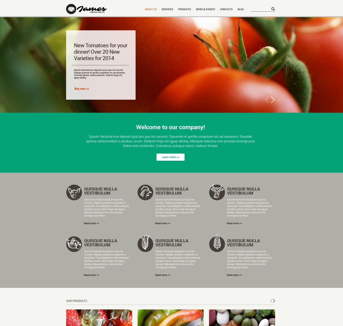 Fruit Responsive Website Template #51209