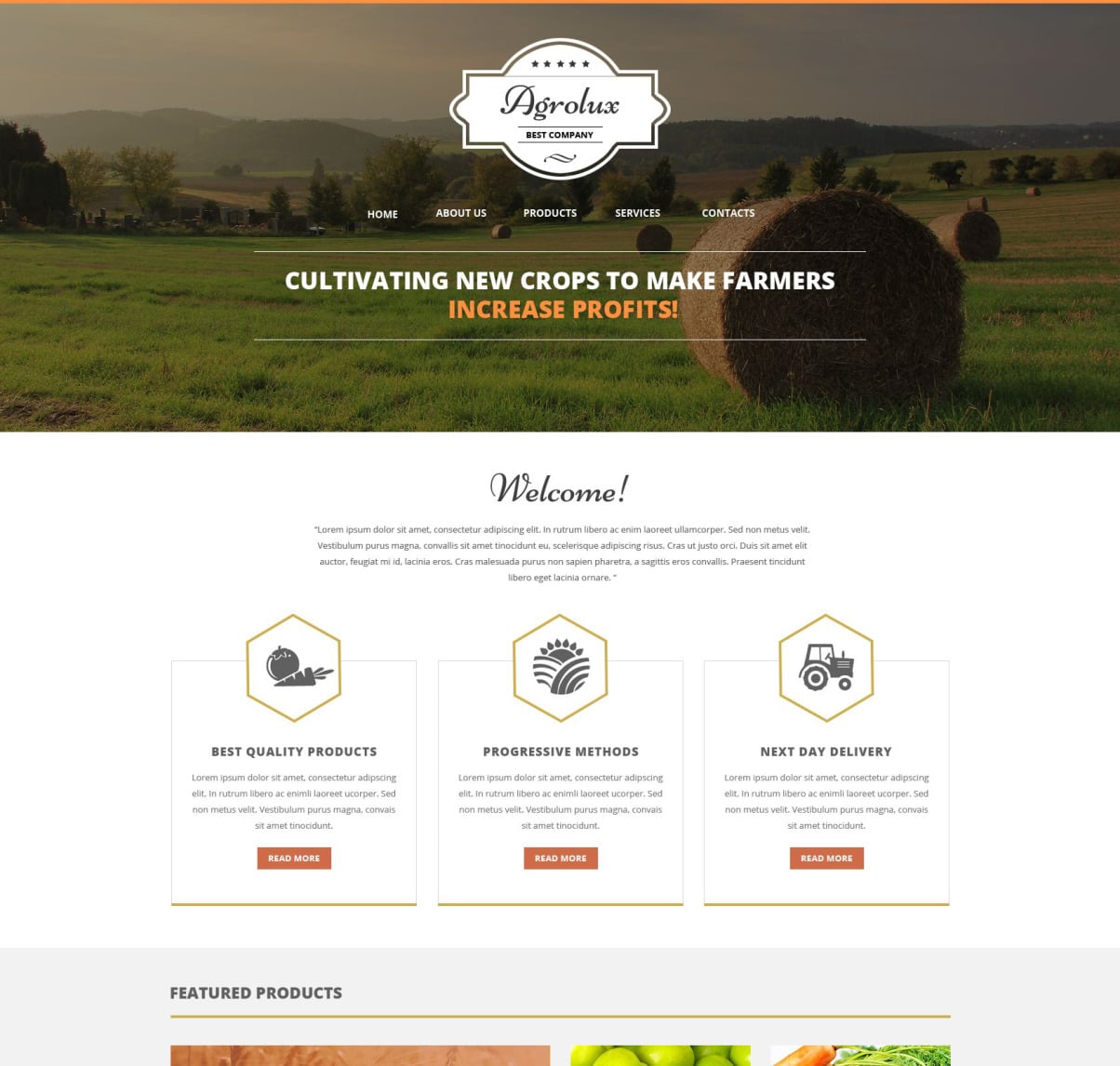 Agriculture Responsive Website Template #51341