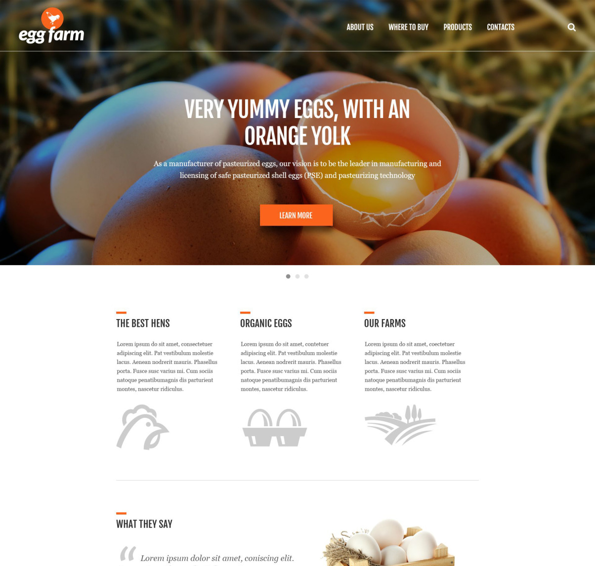Poultry Farm Responsive Website Template #52491