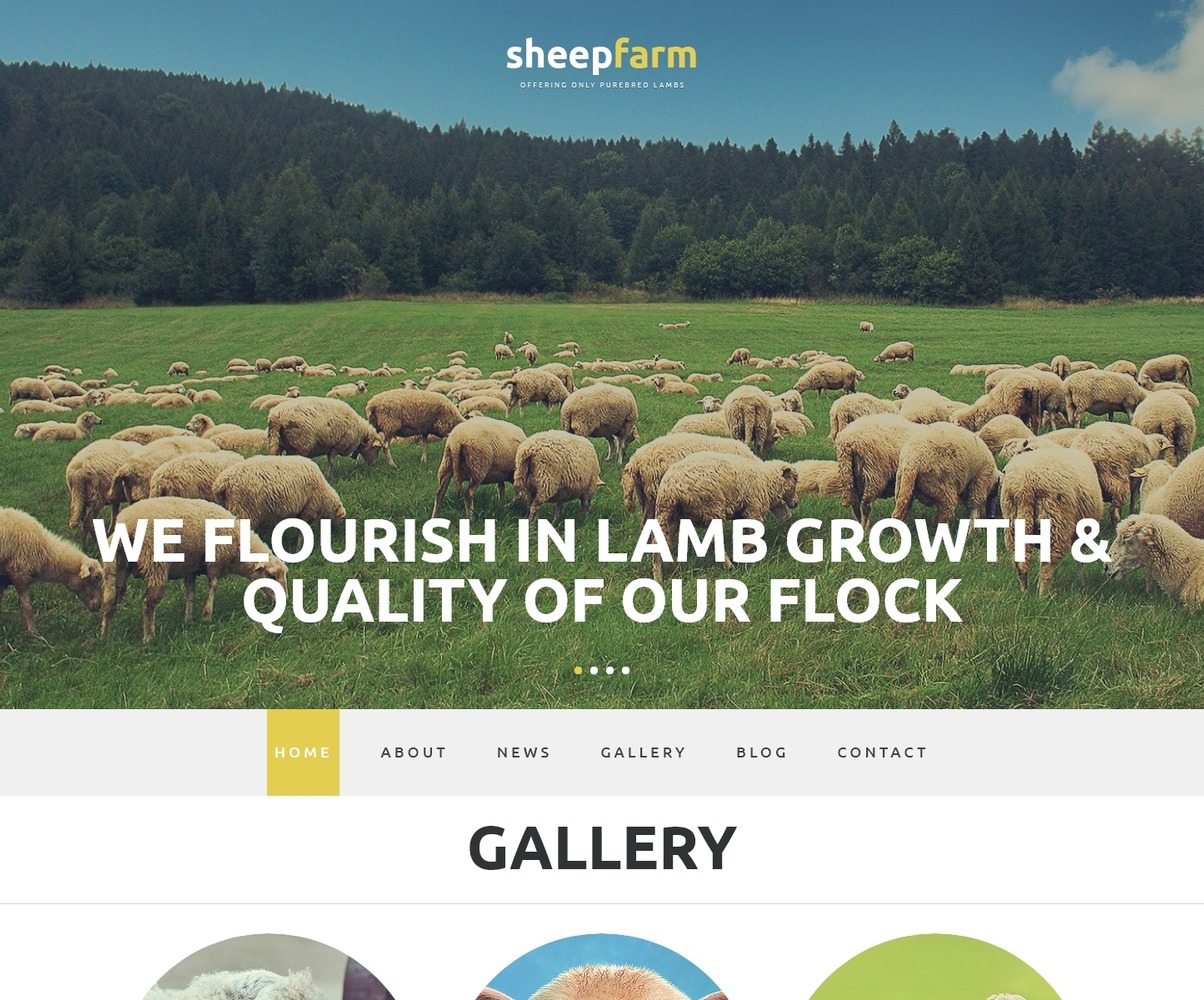 Sheep Farming Joomla Template