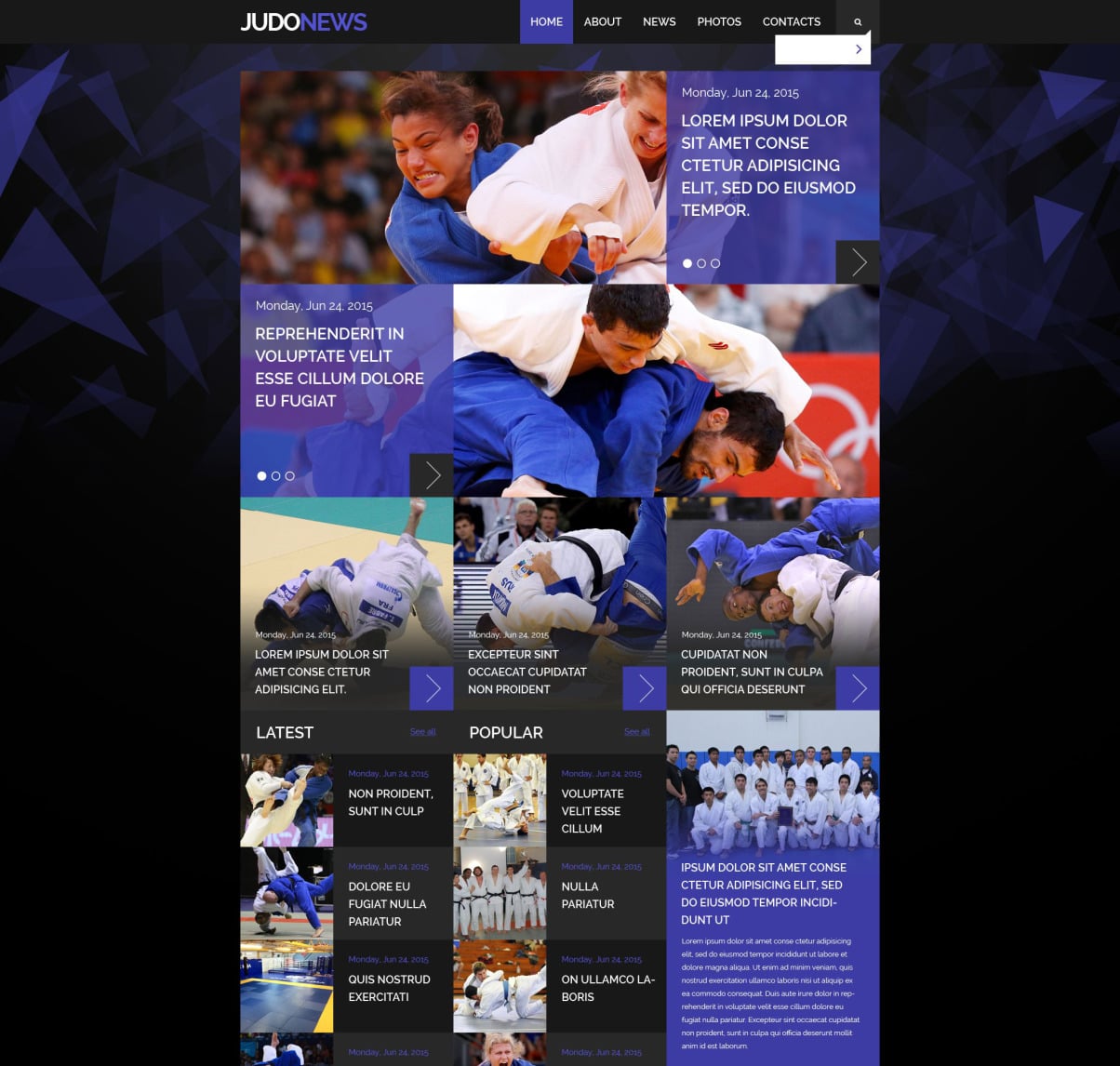 Judo Club Website Template #52958
