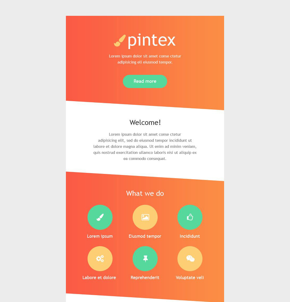 Web Development Responsive Newsletter Template #52900