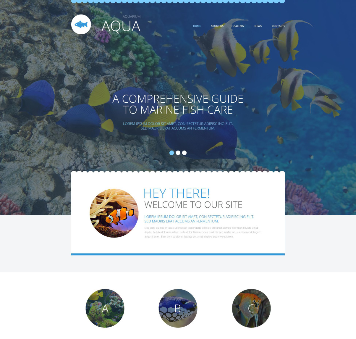 Revolutionize Your Aquarium Care: Discover the Best Aquarium ...