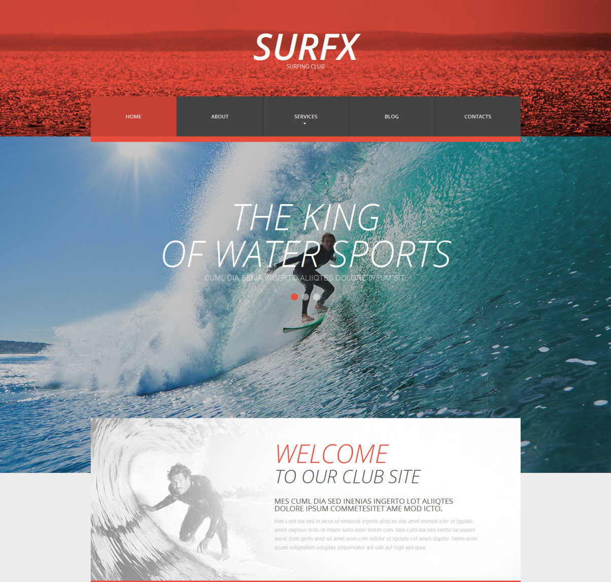 Surfing Website Template