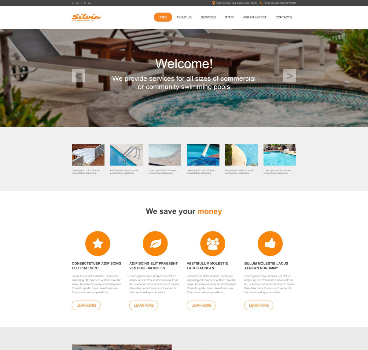 Swimming Pool Muse Template #53794