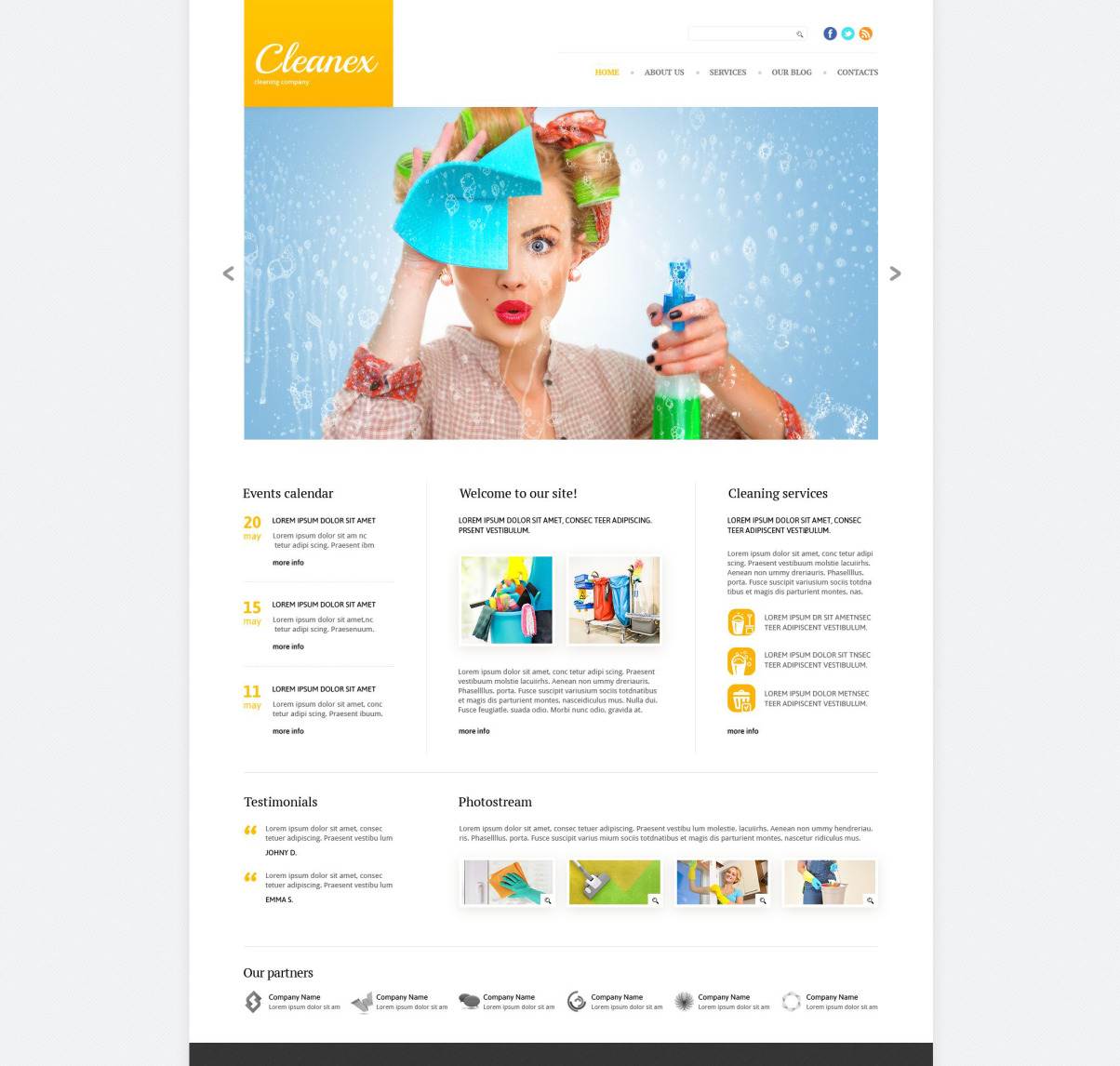 Cleaning Responsive Website Template #53862
