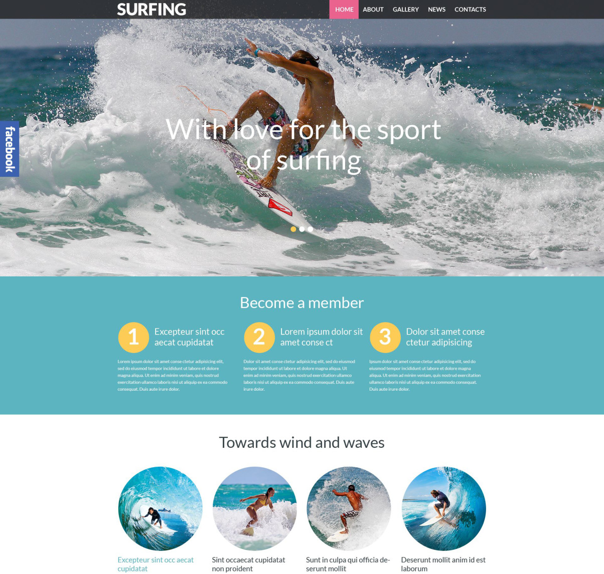 Surfing Responsive WordPress Theme #53989