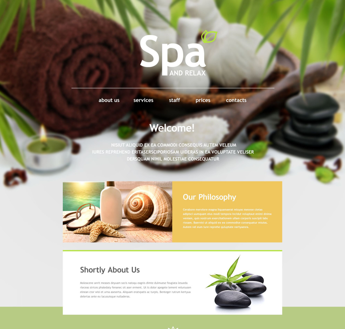 Spa Accessories Muse Template #54783