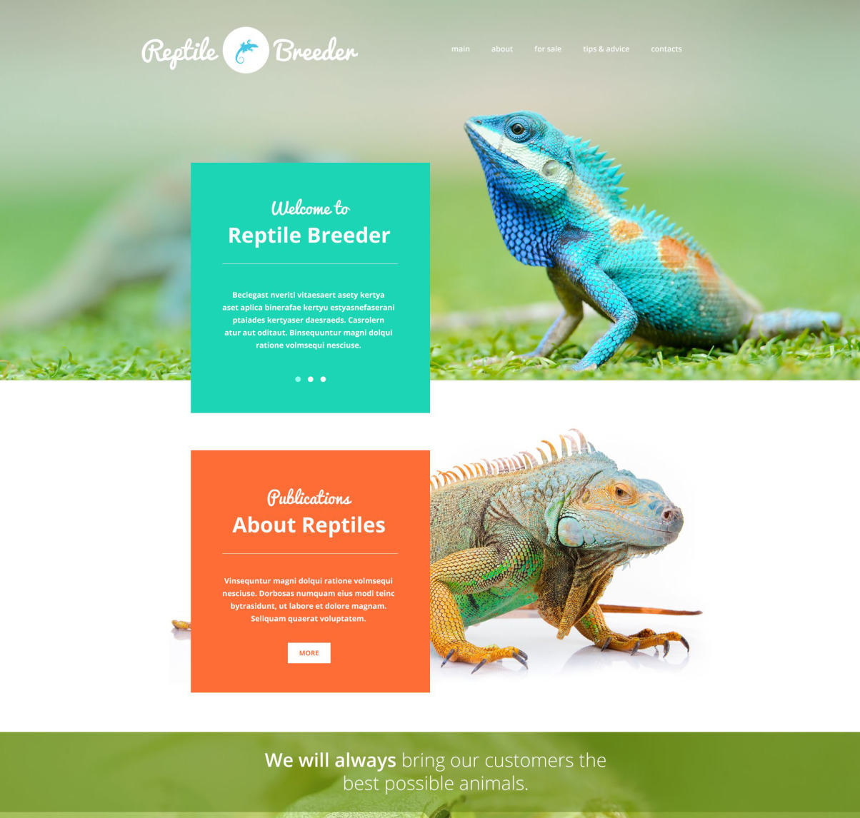 Reptile Website Template