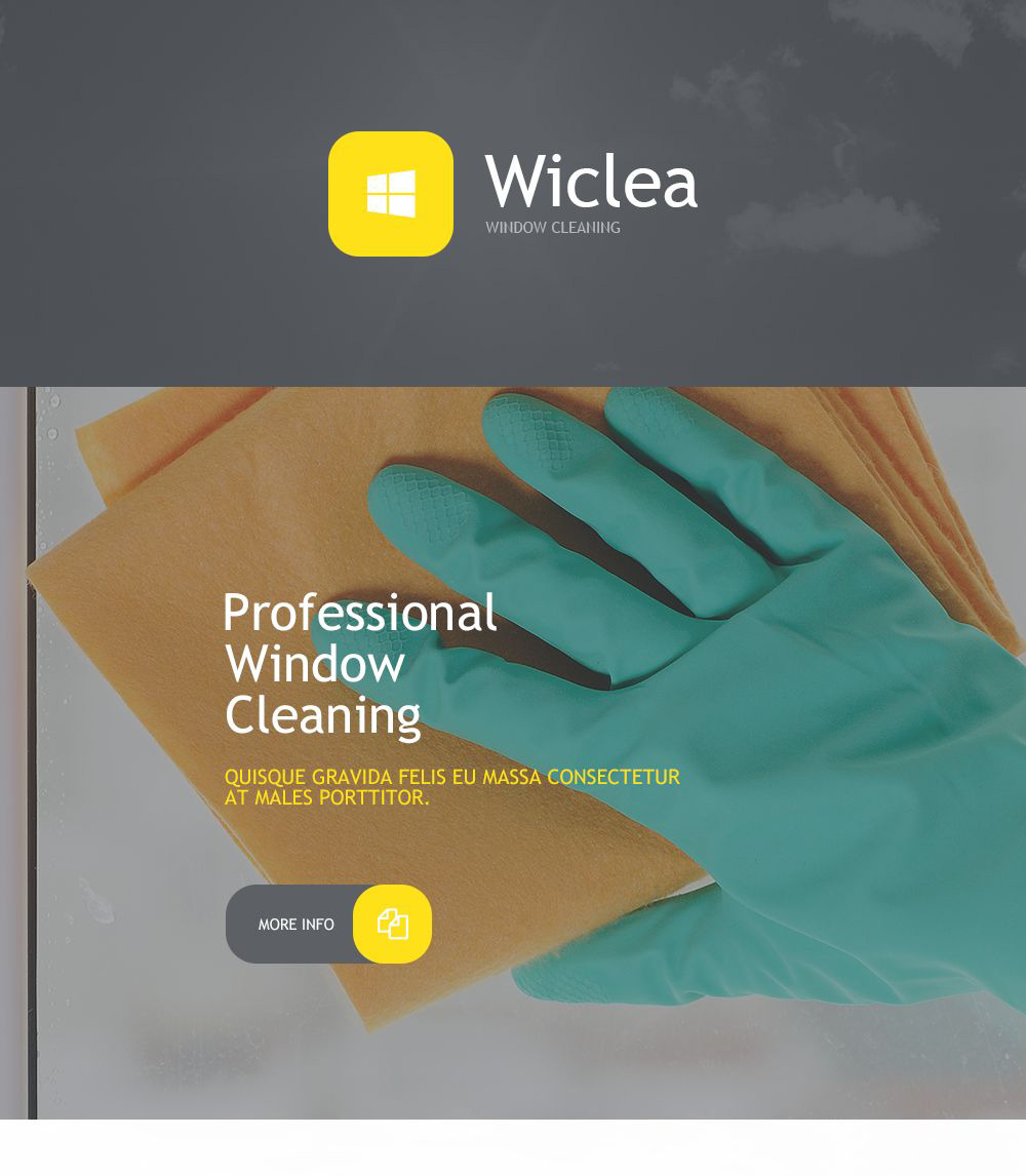 Window Cleaning Responsive Newsletter Template #55024