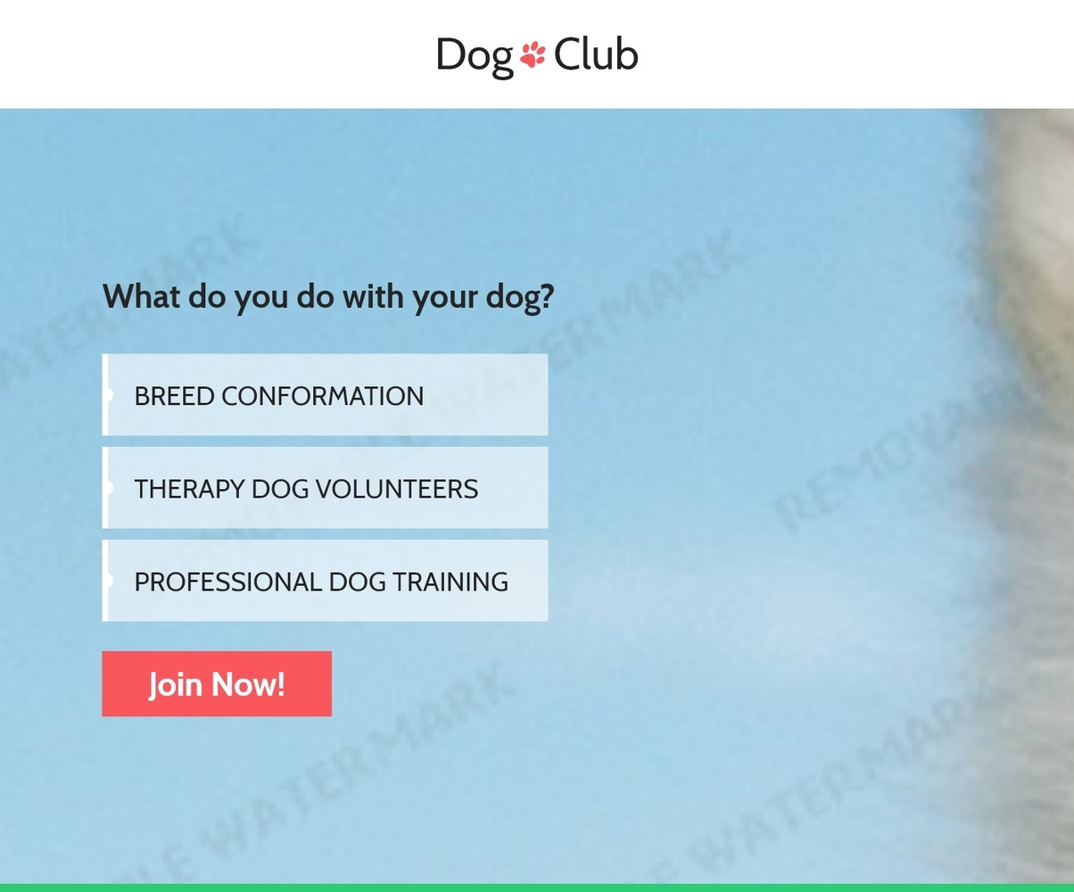 Dog Responsive Landing Page Template #55777