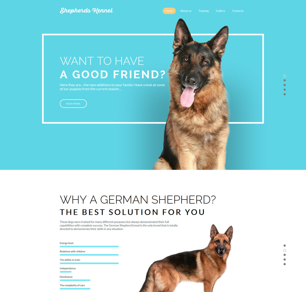 Dog Responsive Website Template #57575