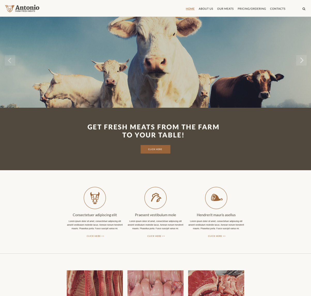 Cattle Farm Responsive Website Template #57879