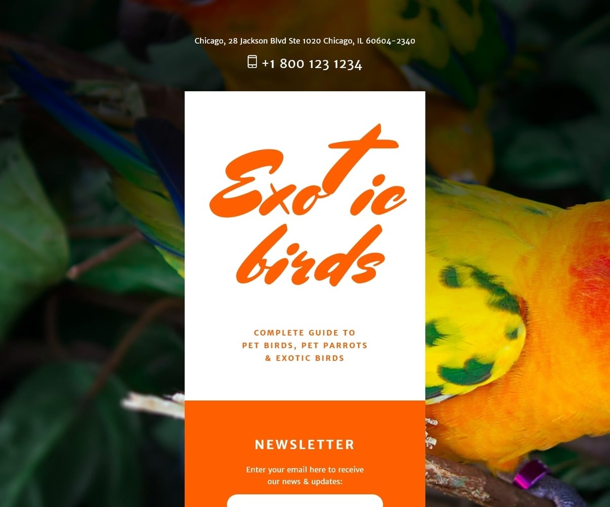 Birds Responsive Landing Page Template #58015