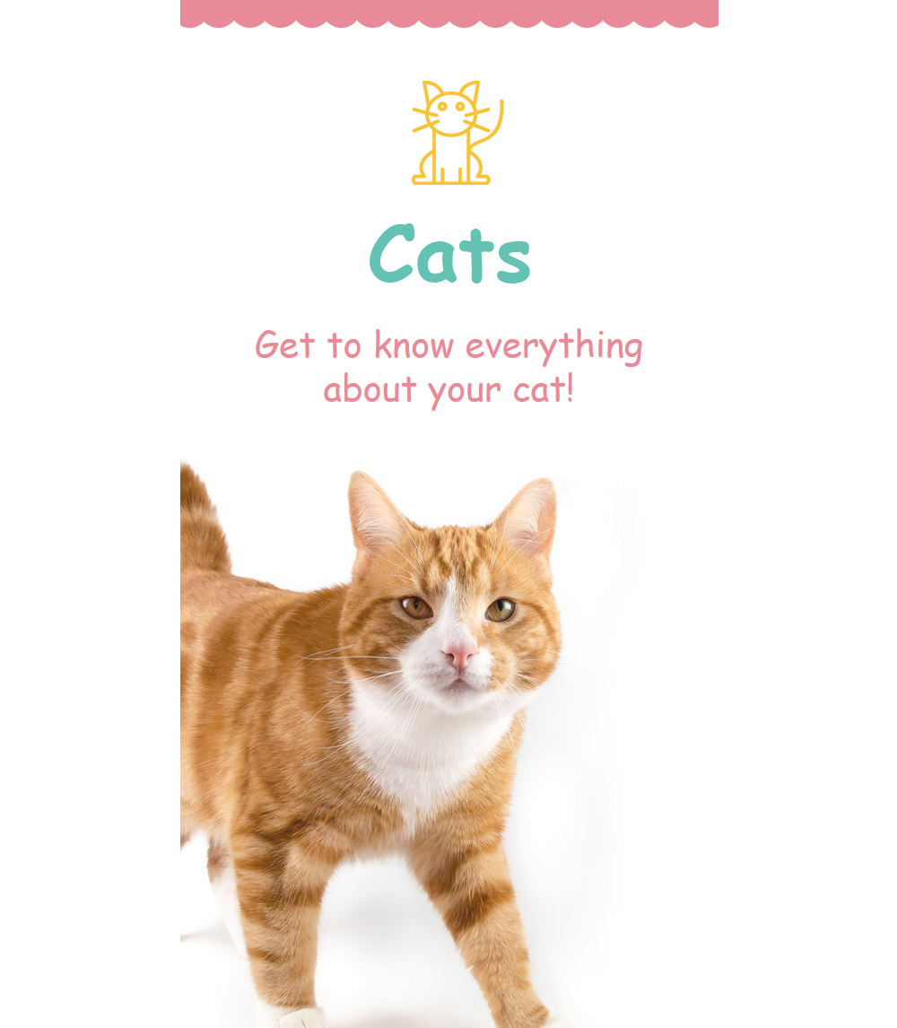 Cat Responsive Newsletter Template #58039