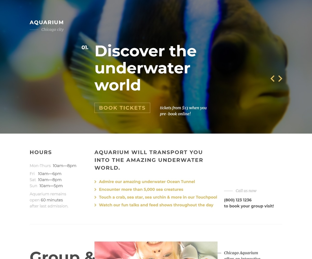 Fish Responsive Landing Page Template - TemplateMonster