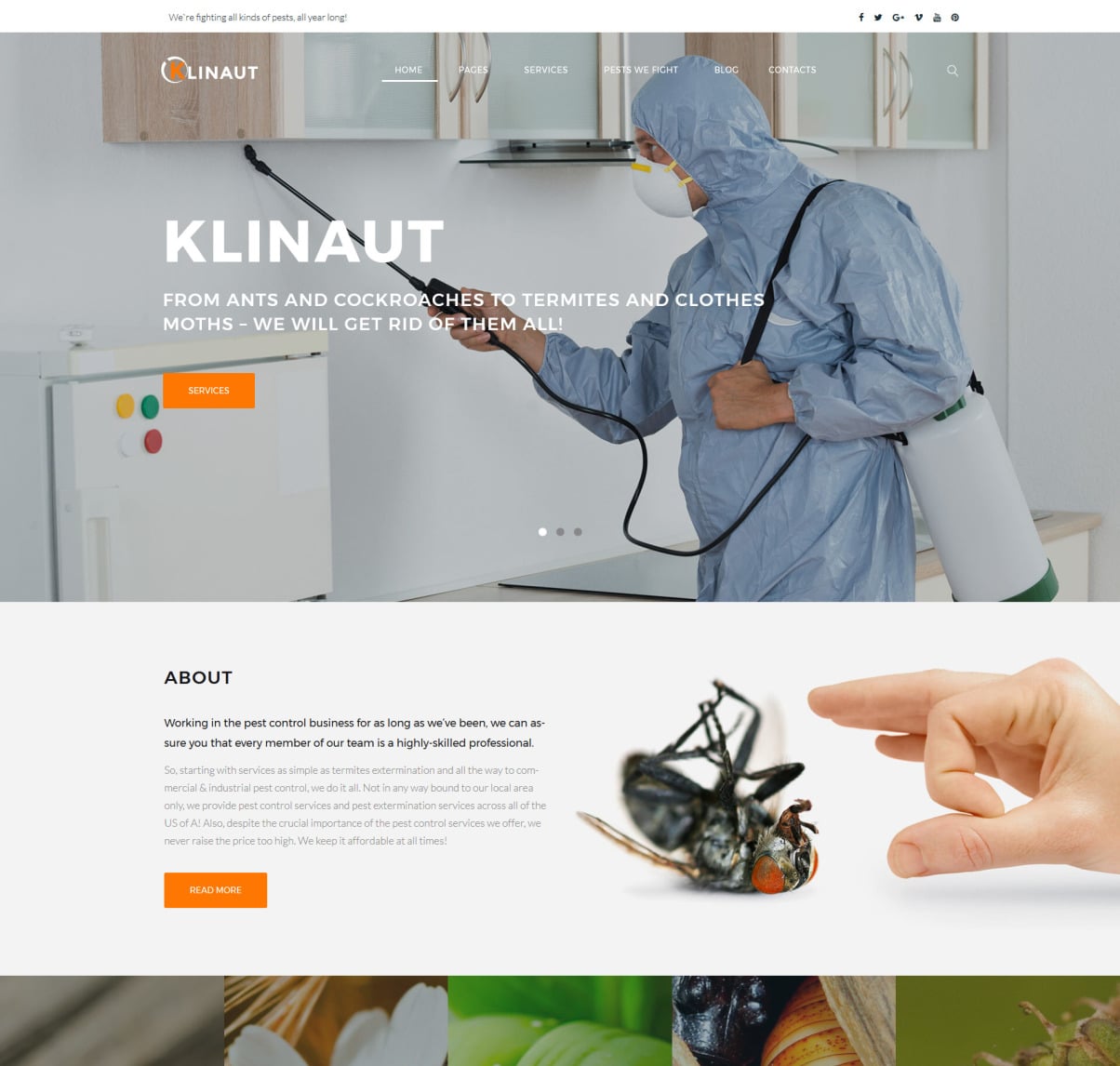 Pest Control WordPress Theme
