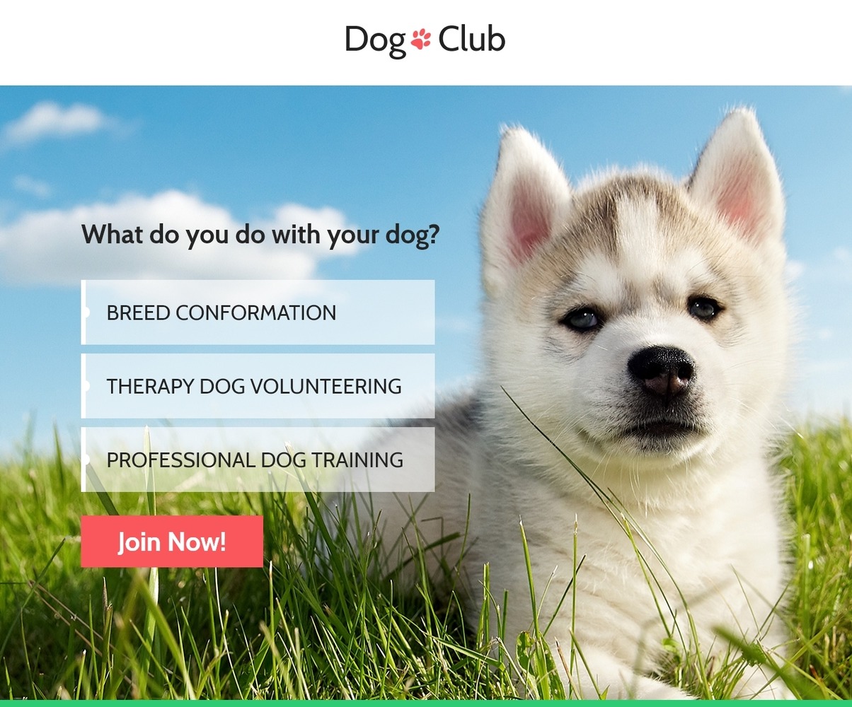 Dog Breeder Landing HTML5 Template