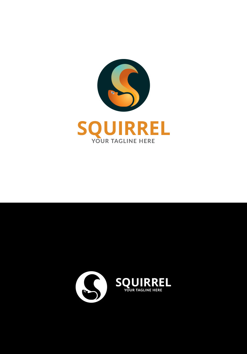 Squirrel Color Logo Template #72139