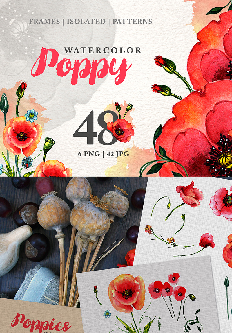 POPPY Watercolor Red Png - Illustration #76249