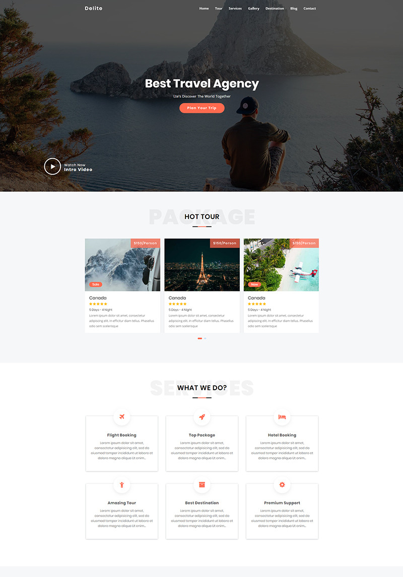 Delite - Travel Agency Landing Page Template #78957