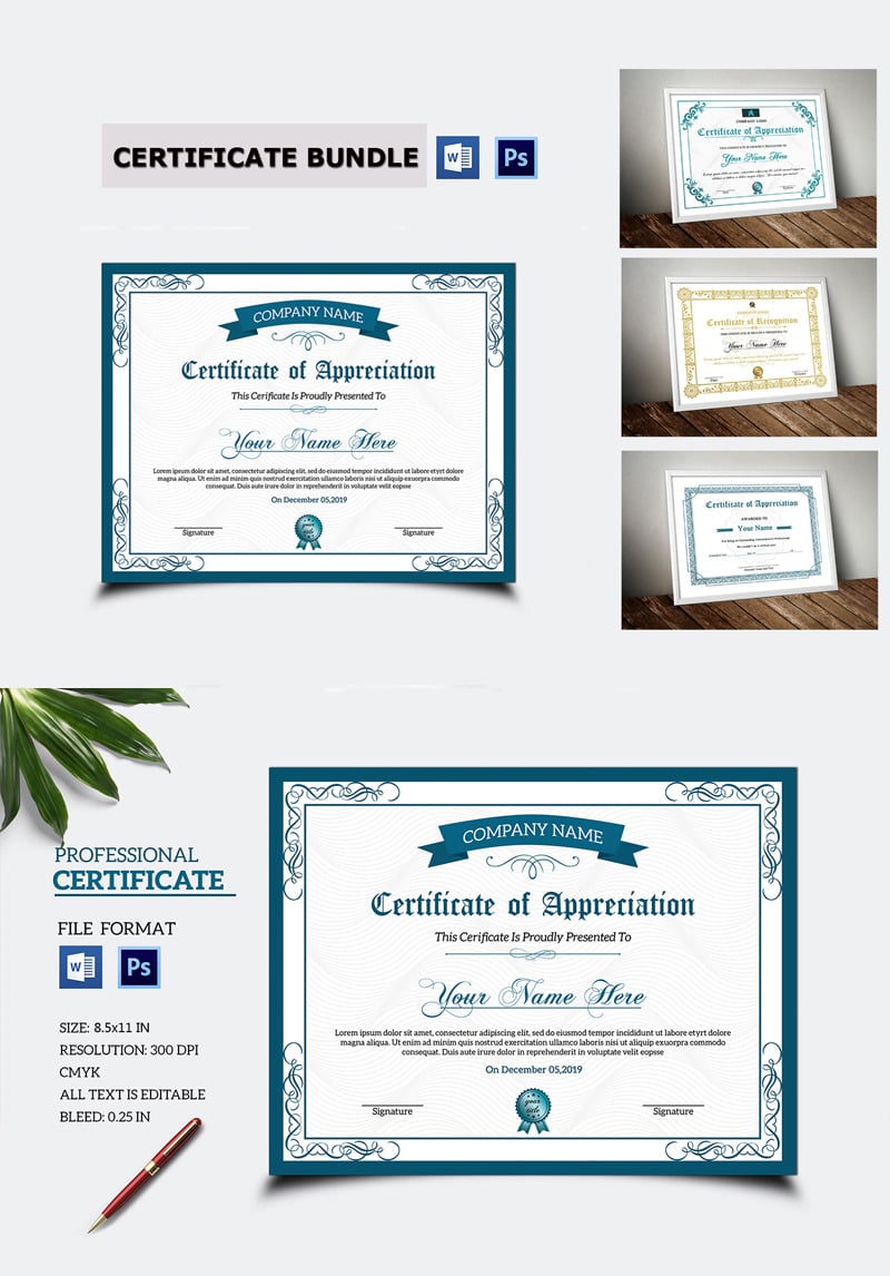 Certificate Bundle Certificate Template #79370