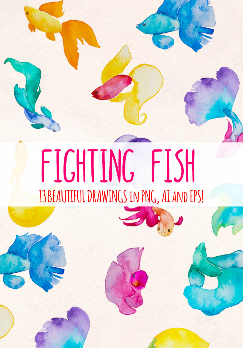 13 Beta Fish Elements - Illustration #79664