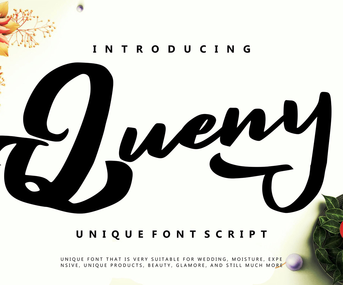 Queny | Unique Script Font #84000