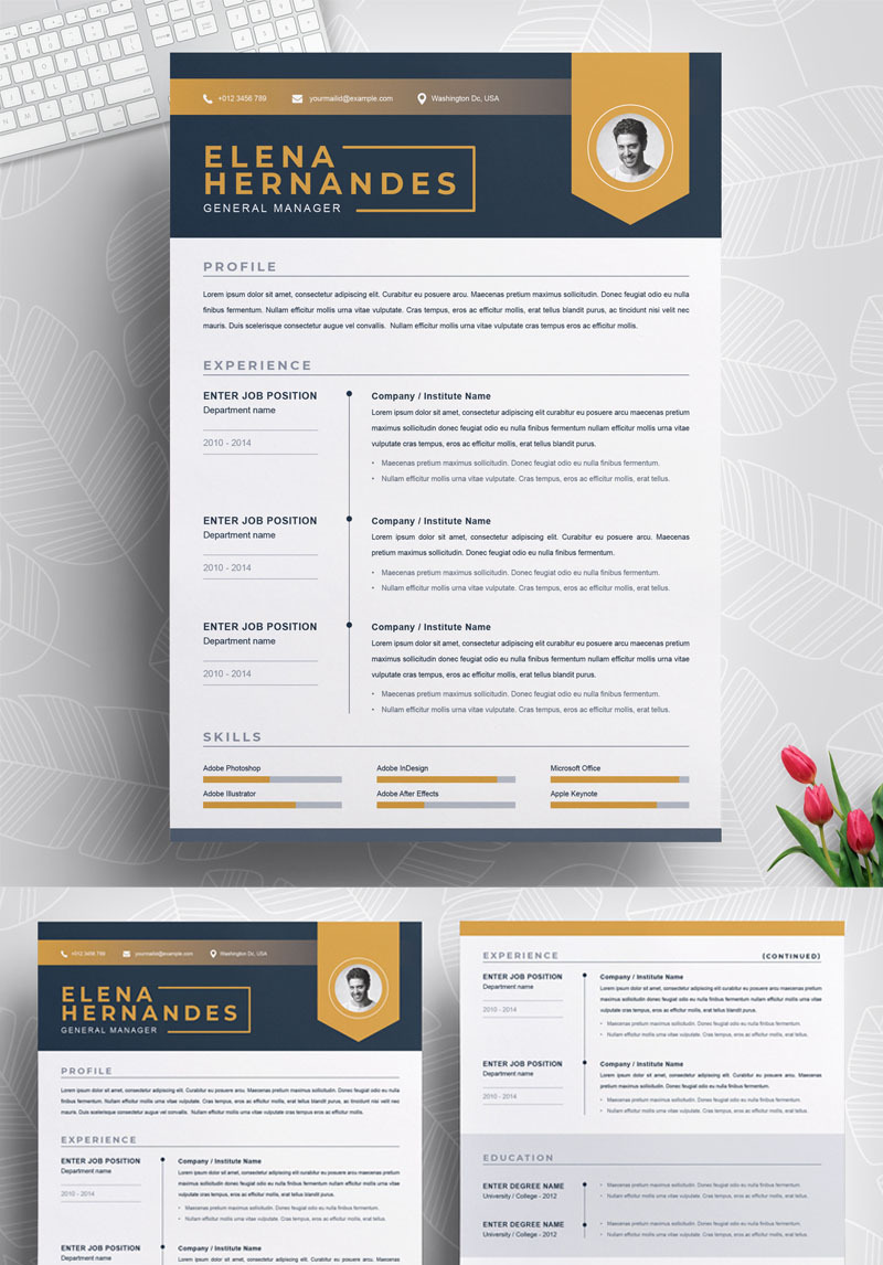 Elena Resume Template #84432 - TemplateMonster