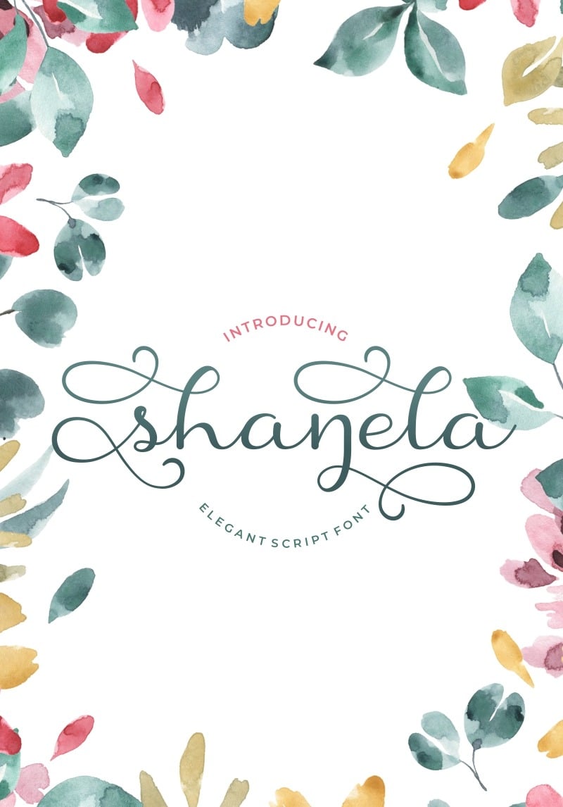 Shanela Font #84723