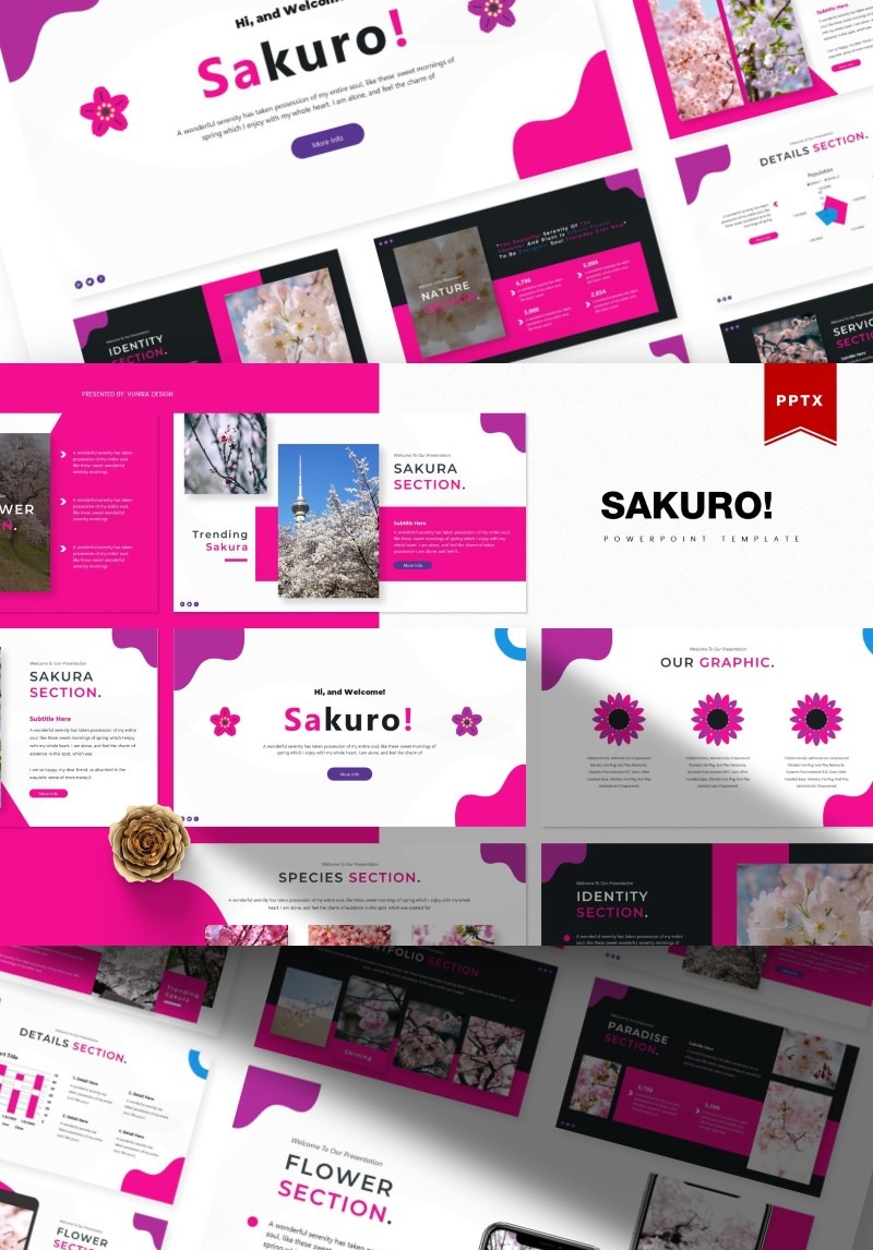 Sakuro! | PowerPoint Template #85718