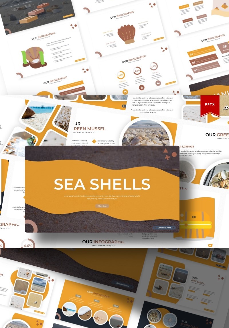 Sea Shells | PowerPoint Template #87128