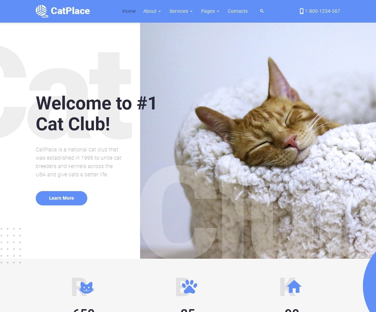 Cat Place HTML Website template