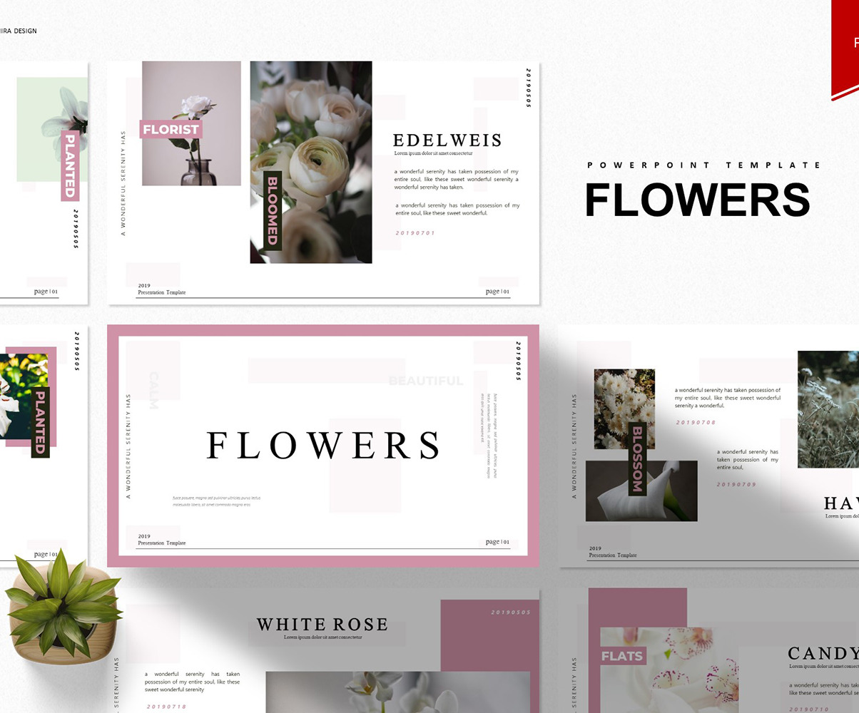 Flowers | PowerPoint Template #93391