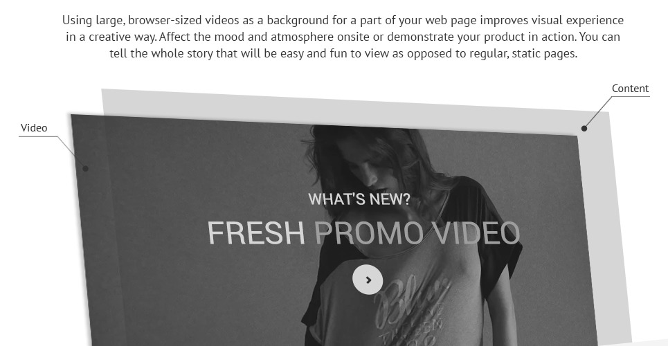 Supreme WordPress Theme #56019 - TemplateMonster