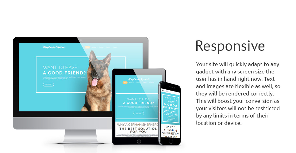 Dog Responsive Website Template #57575 - TemplateMonster