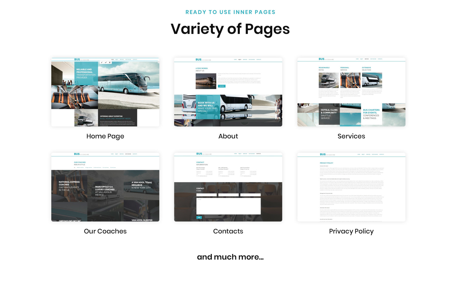 Bus and Coach Hire Website Template #57680 - TemplateMonster